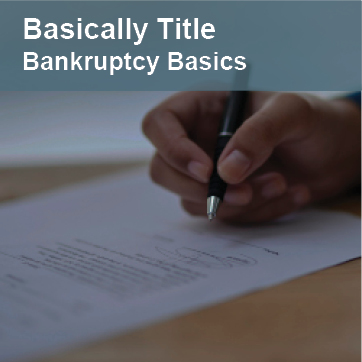 Bankruptcy Basics - WFG National Title